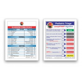 Caregiver Badge Glasgow Coma Scale Reference Card - Vertical Badge ID ...