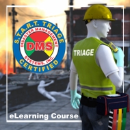 online start triage course
